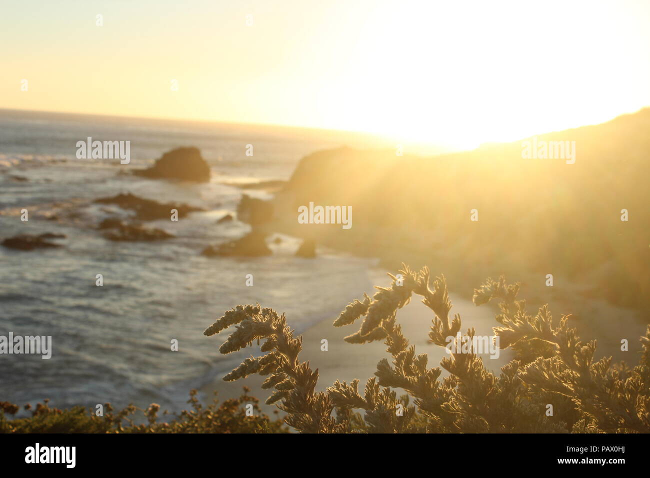 Big sur sunset hi-res stock photography and images - Alamy