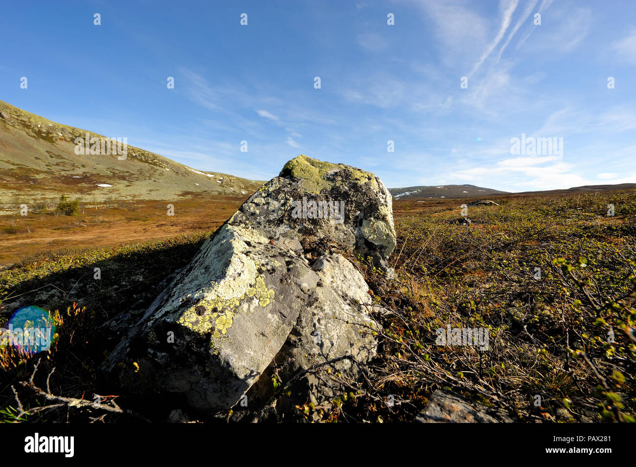 Stone in a barren landscape in sweden Stock Photo - Alamy