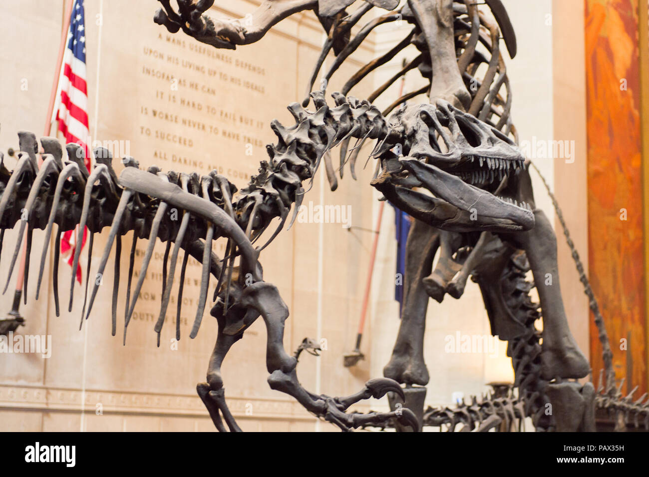 NEW YORK, USA - OCT 8, 2015: Dinosaur skeleton at the hall of the ...