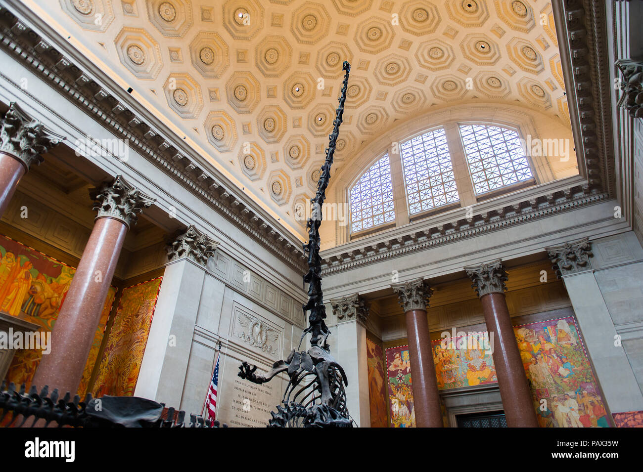 NEW YORK, USA - OCT 8, 2015: Dinosaur skeleton at the hall of the ...