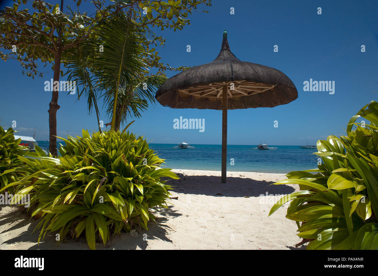 Nipa umbrella hi-res stock photography and images - Alamy