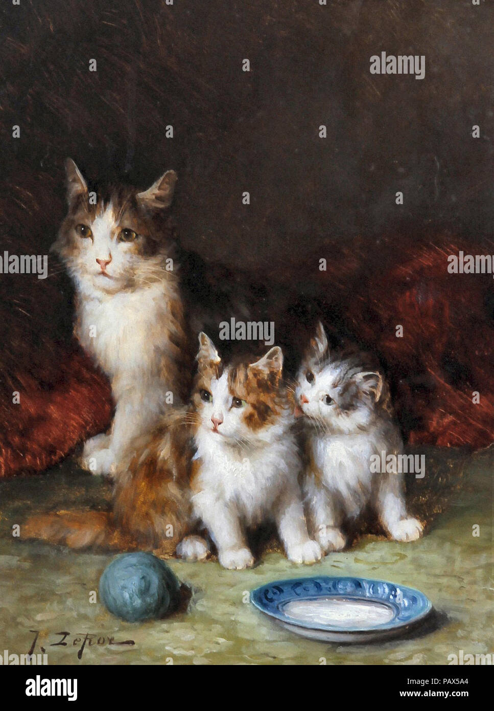 Leroy the cat hi-res stock photography and images - Alamy