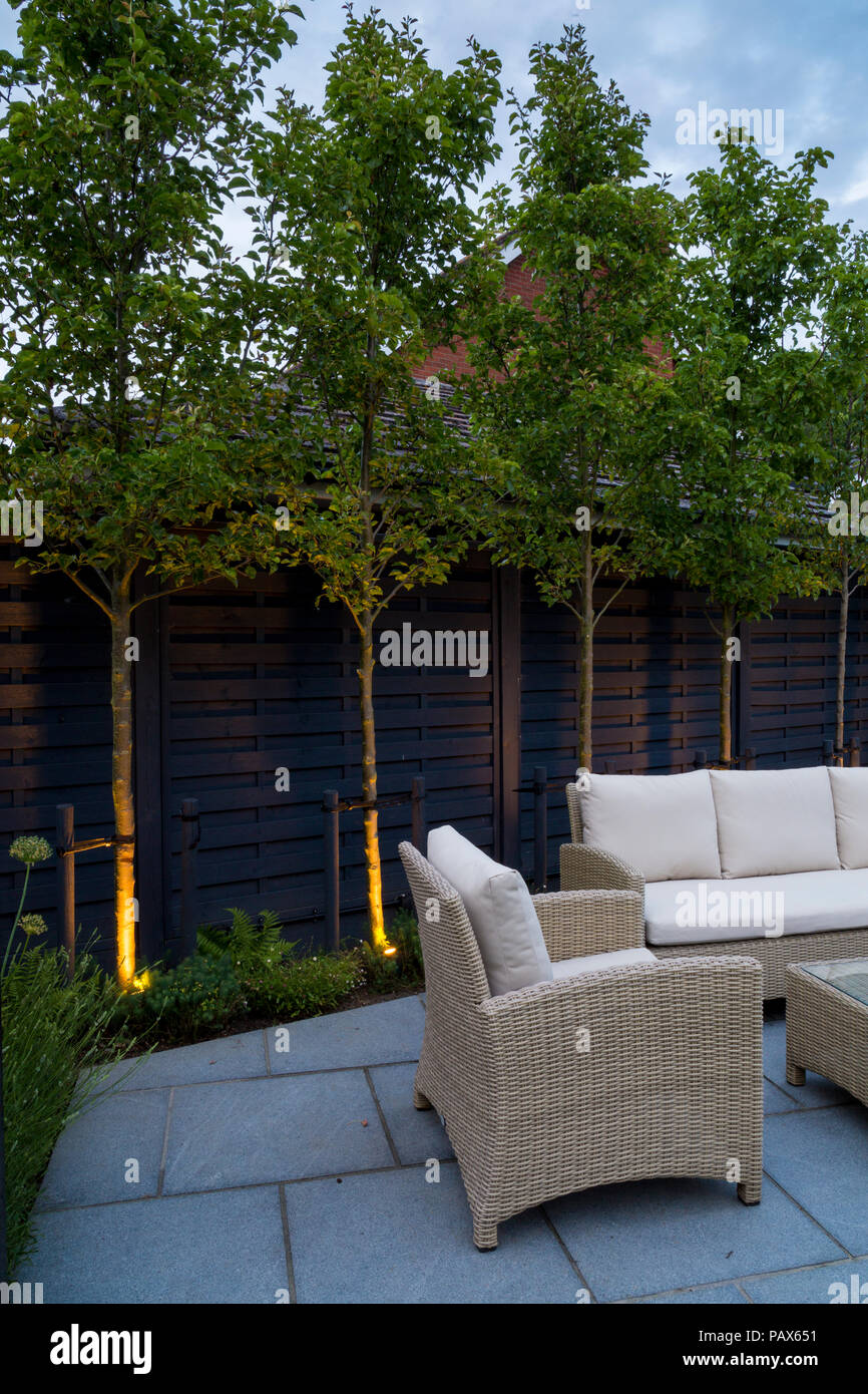 Uplit trees hi-res stock photography and images - Alamy