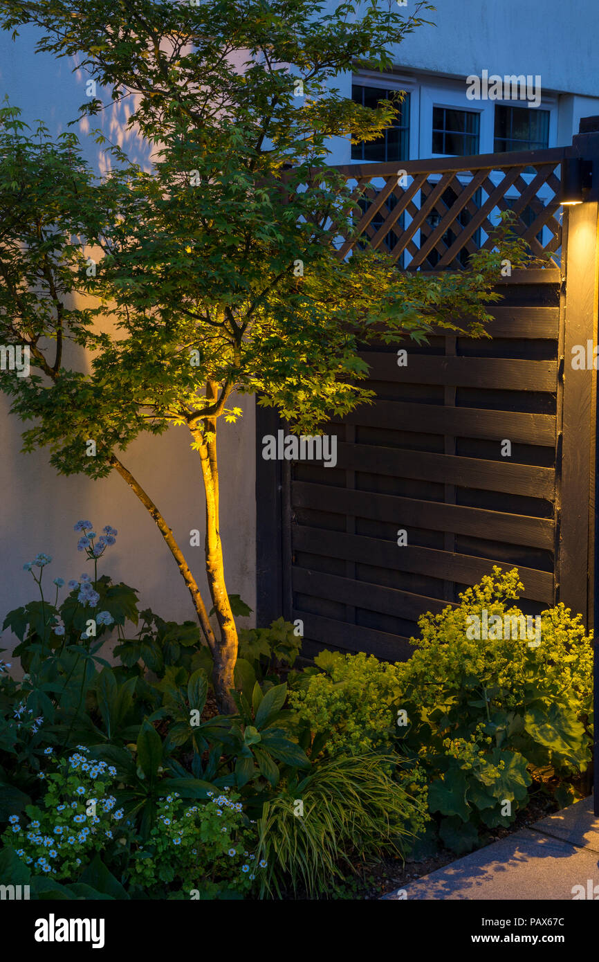 Uplit tree hi-res stock photography and images - Alamy