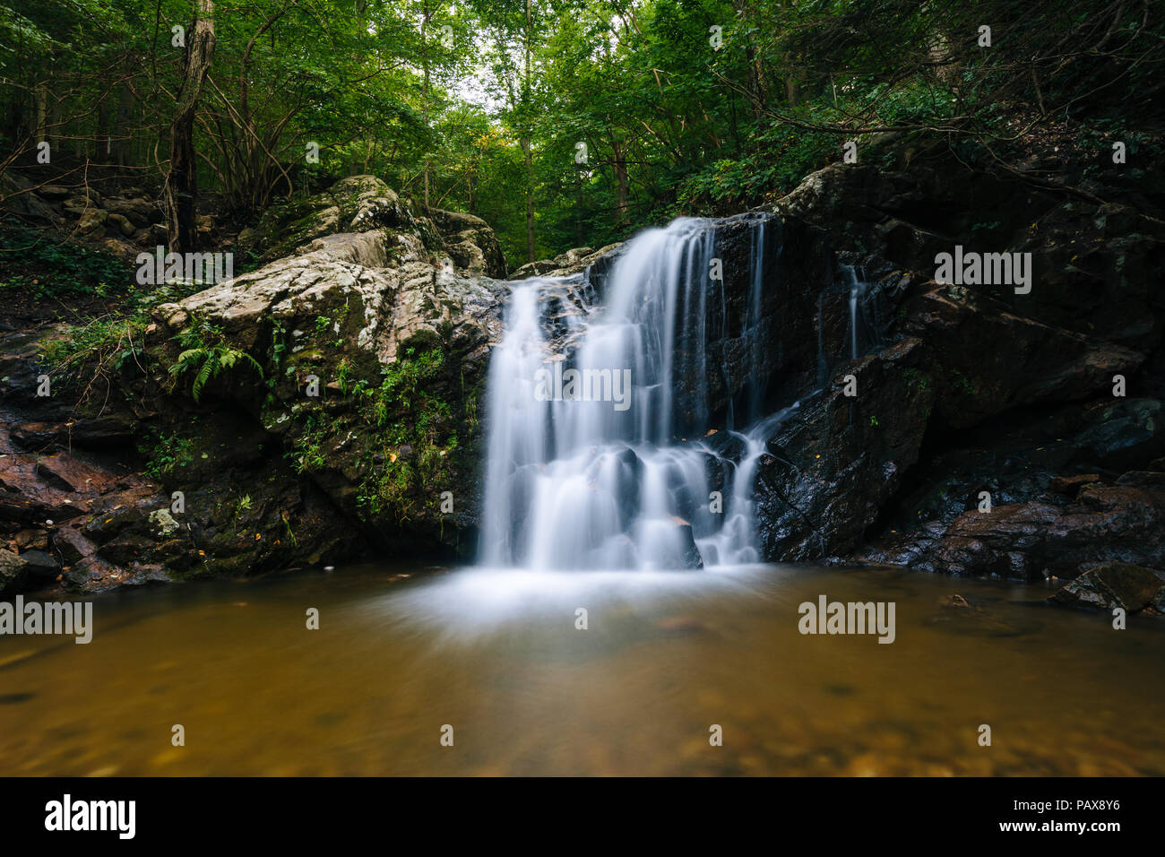 Cascade Falls, at Patapsco Valley State Park, in Maryland Stock Photo ...