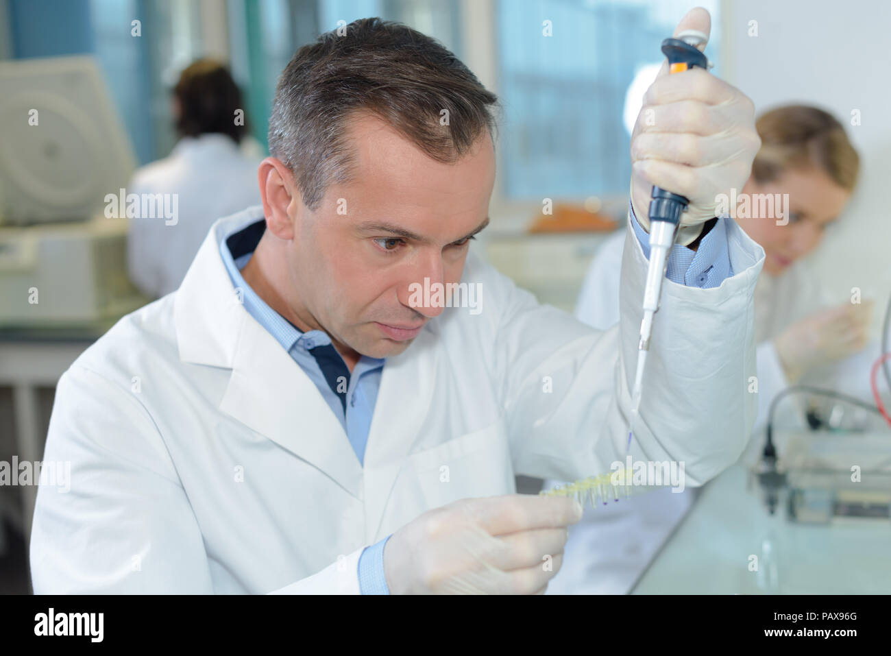 Laboratory technician using pipette Stock Photo - Alamy