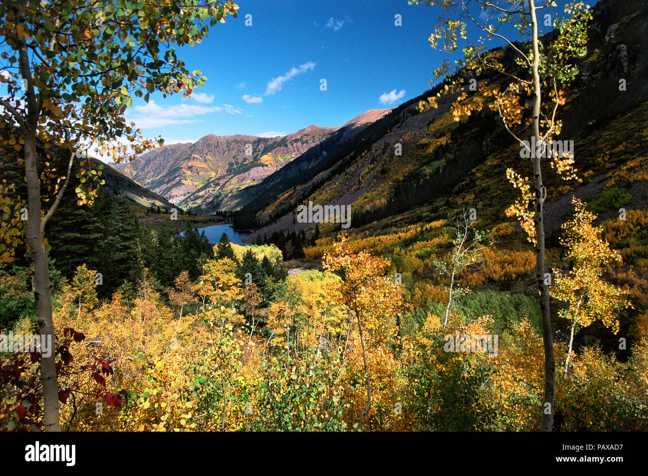 Denver fall aspen hi-res stock photography and images - Alamy