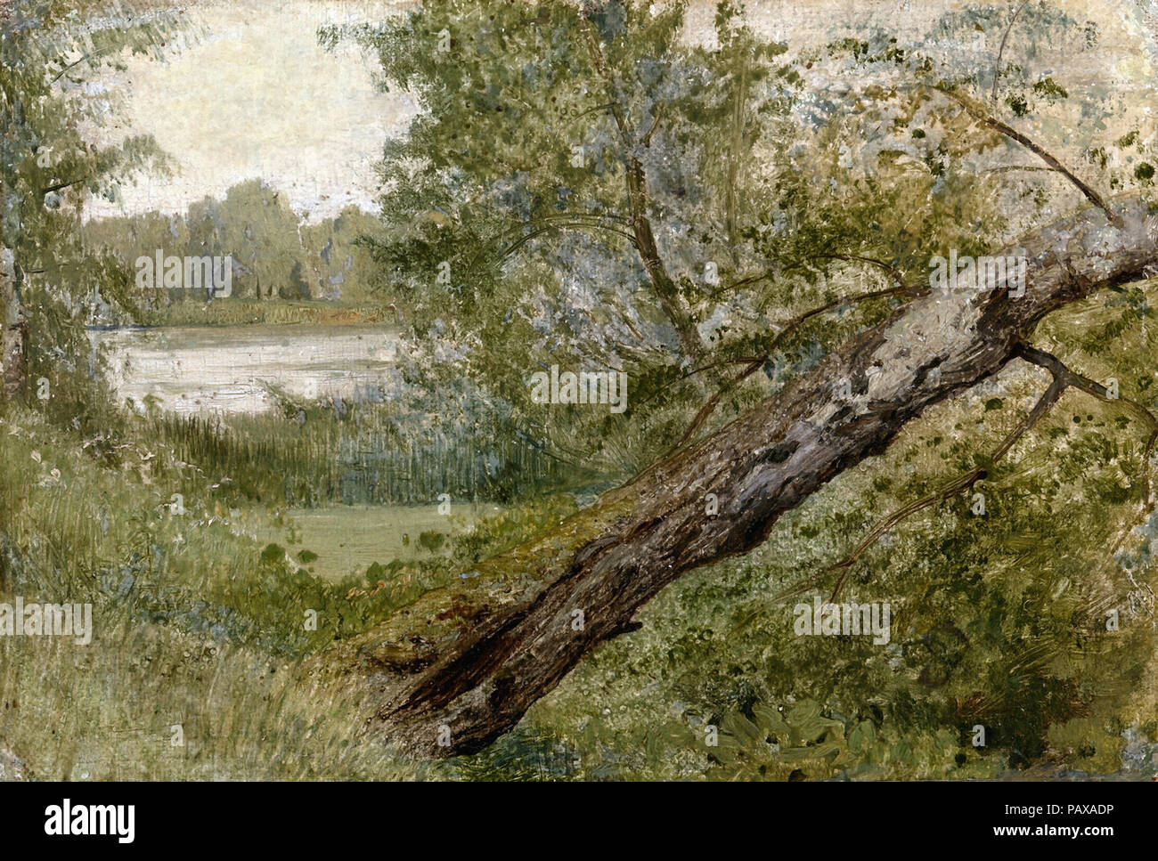 Isaac lake hi-res stock photography and images - Alamy