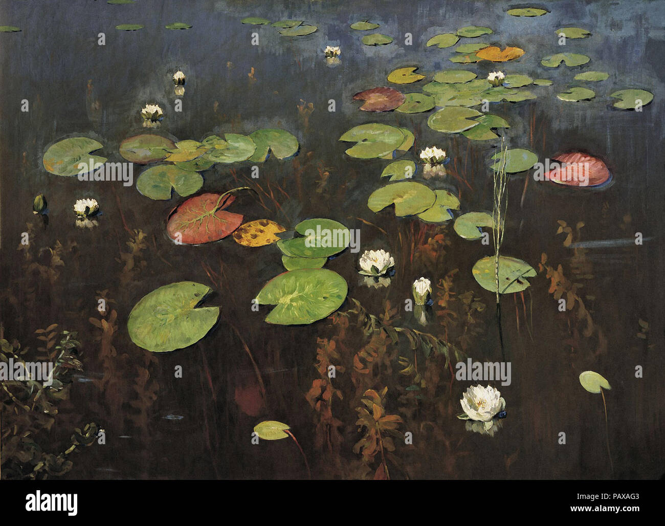 Lilies of th hi-res stock photography and images - Alamy