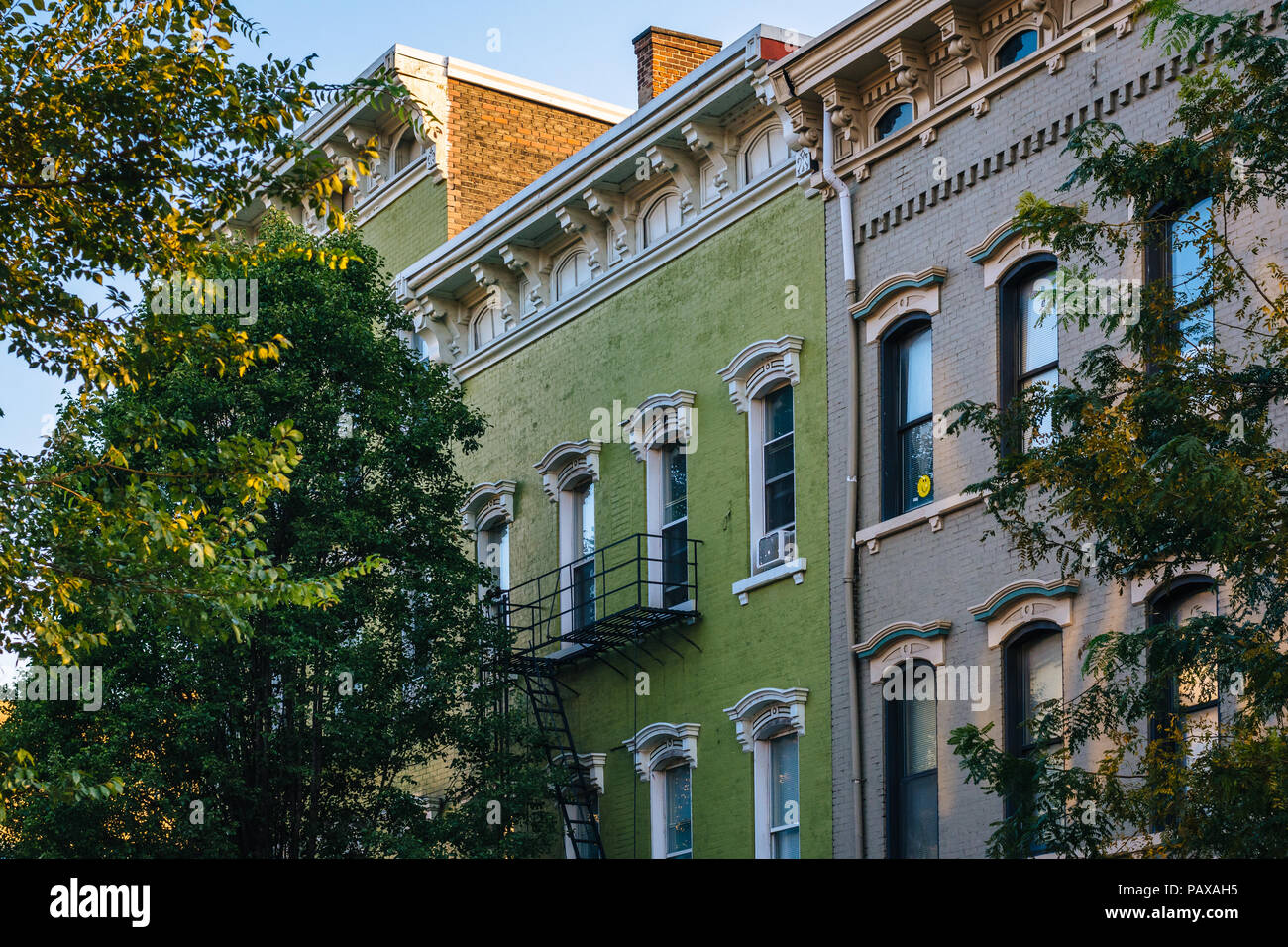 Historic buildings along Vine Street in Over-The-Rhine, Cincinnati ...