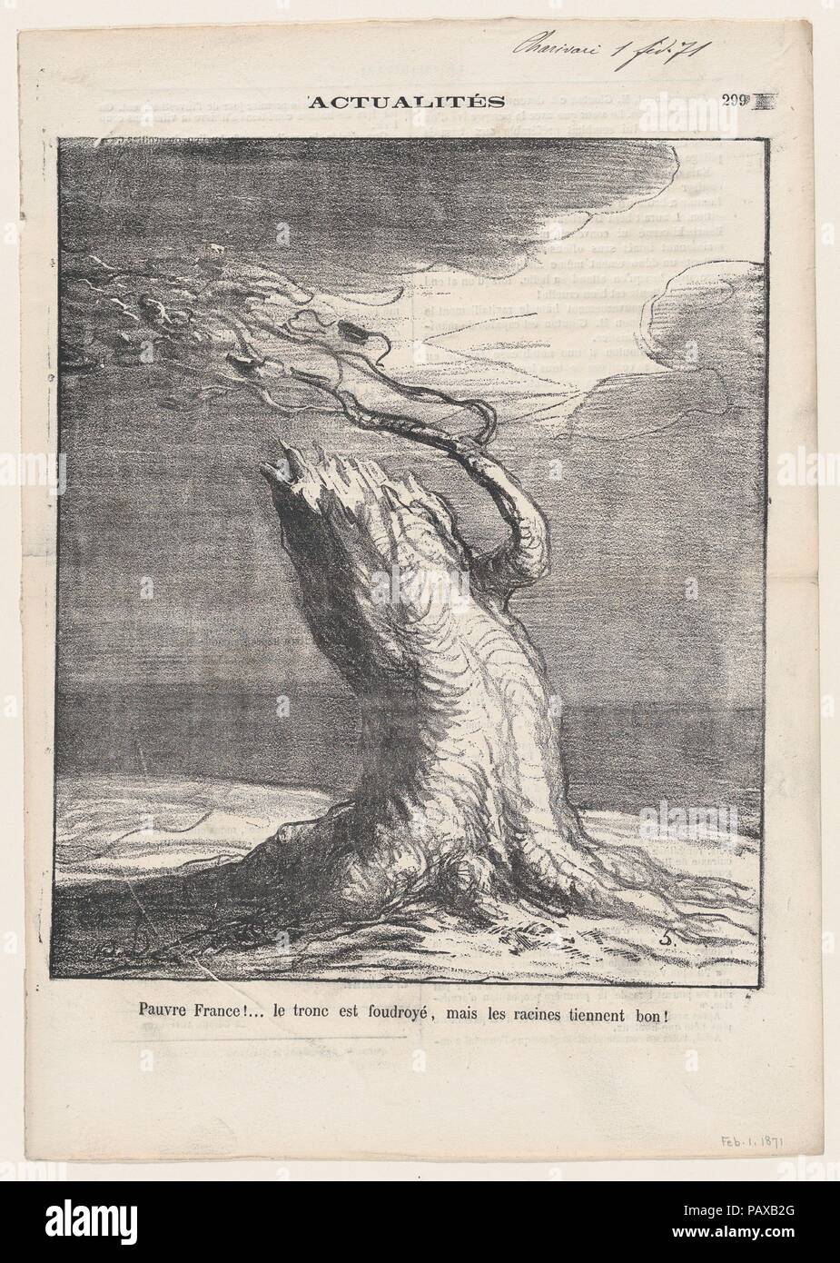 19th century drawings of tree roots hi-res stock photography and images ...