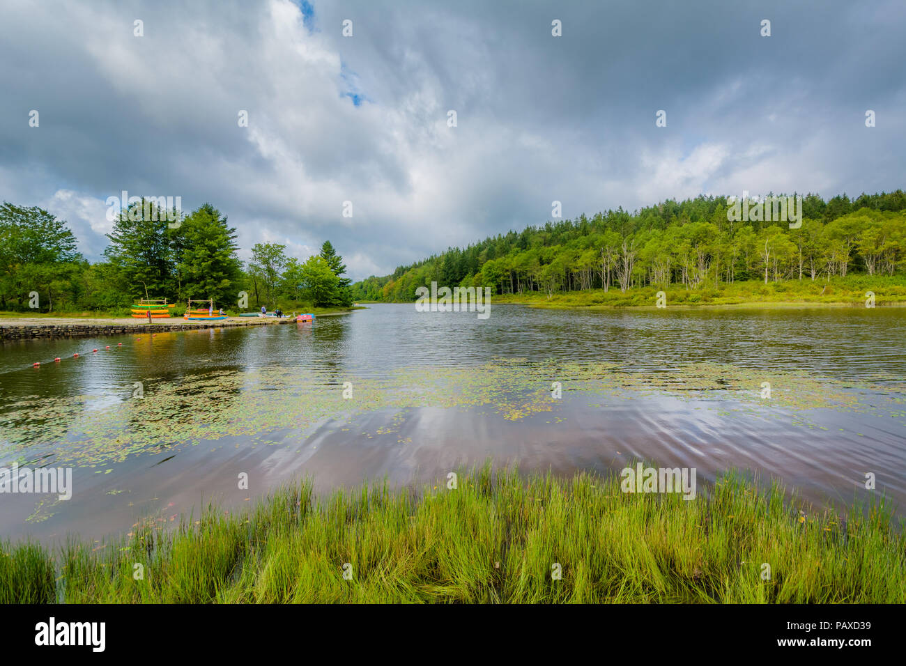 Pendleton Lake, at Blackwater Falls State Park, West Virginia Stock ...