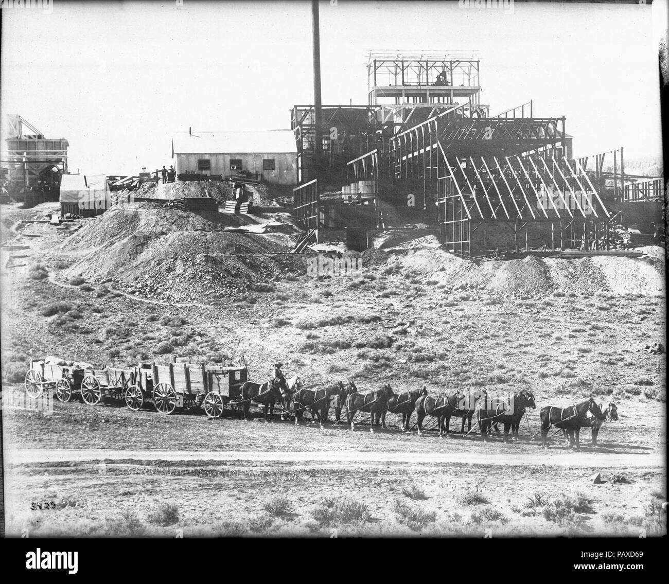 5429 High Resolution Stock Photography and Images - Alamy