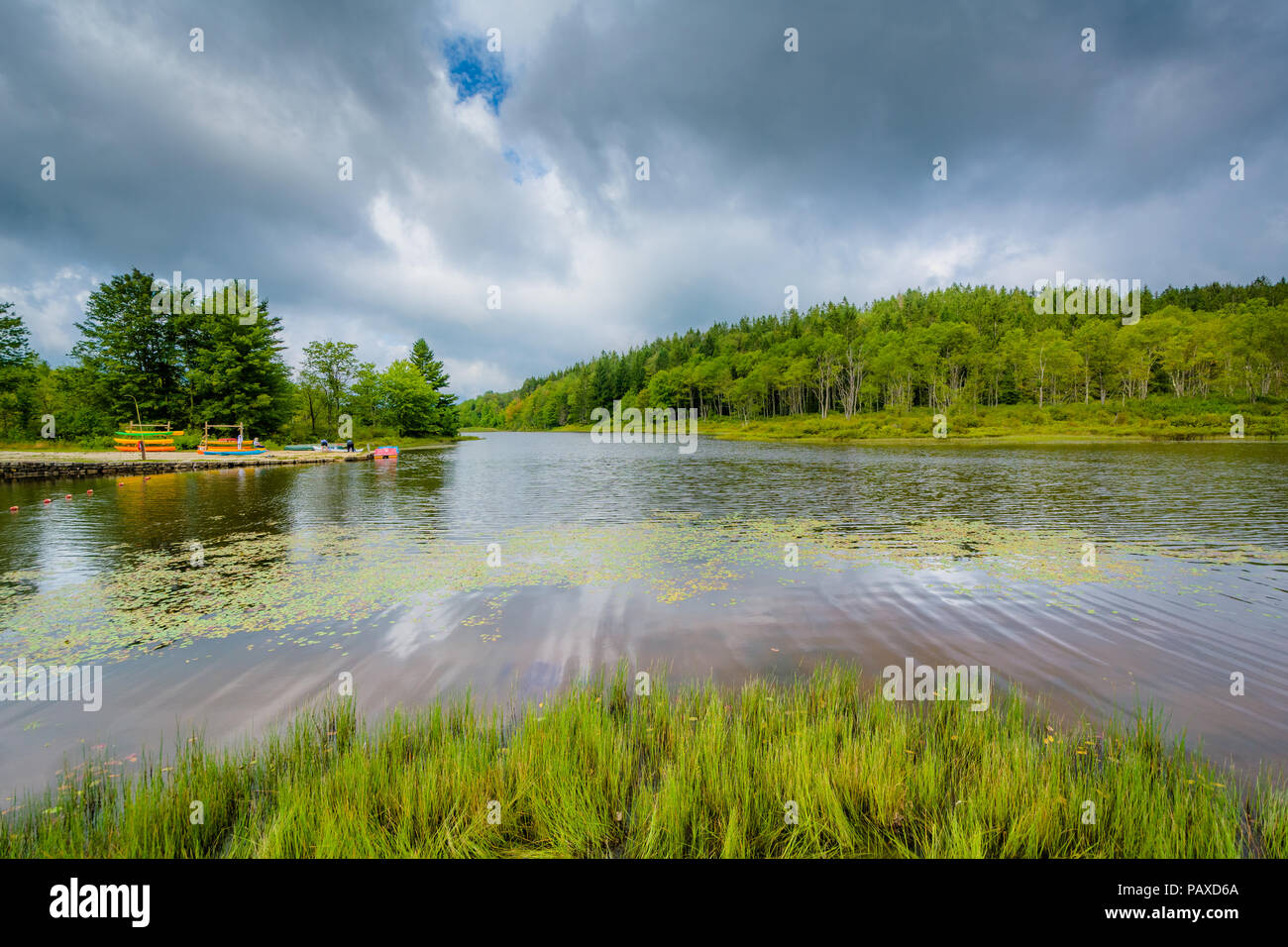Pendleton Lake, at Blackwater Falls State Park, West Virginia Stock ...
