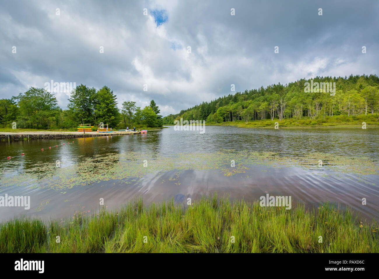 Pendleton Lake, at Blackwater Falls State Park, West Virginia Stock ...