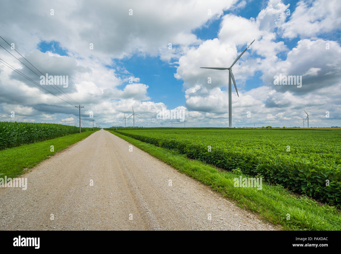 Road and windmills in rural Indiana Stock Photo - Alamy