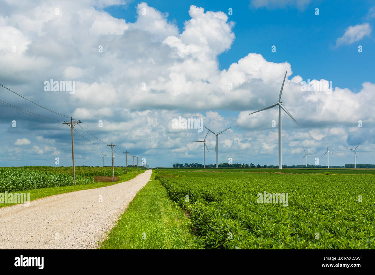 Road and windmills in rural Indiana Stock Photo - Alamy