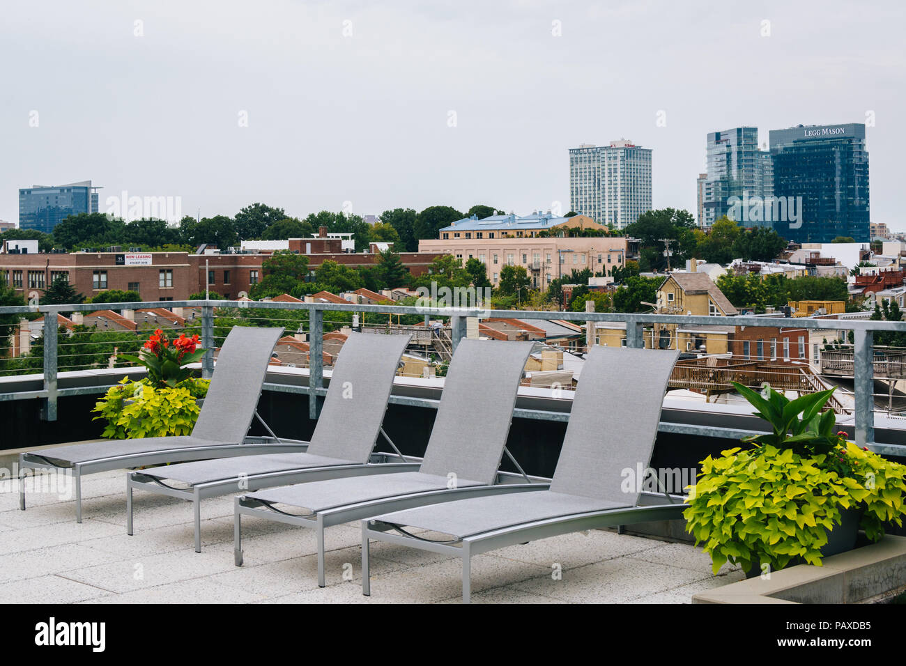 Rooftop in Federal Hill, Baltimore, Maryland Stock Photo - Alamy Rooftop in Federal Hill, Baltimore, Maryland Stock Photo - Alamy