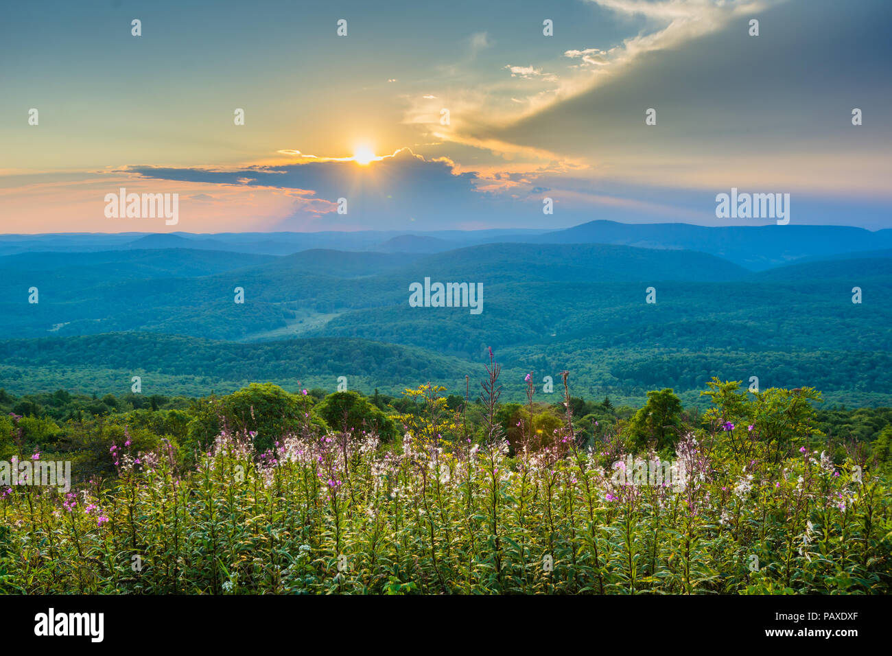 Sunset from Spruce Knob, in Monongahela National Forest, West Virginia ...