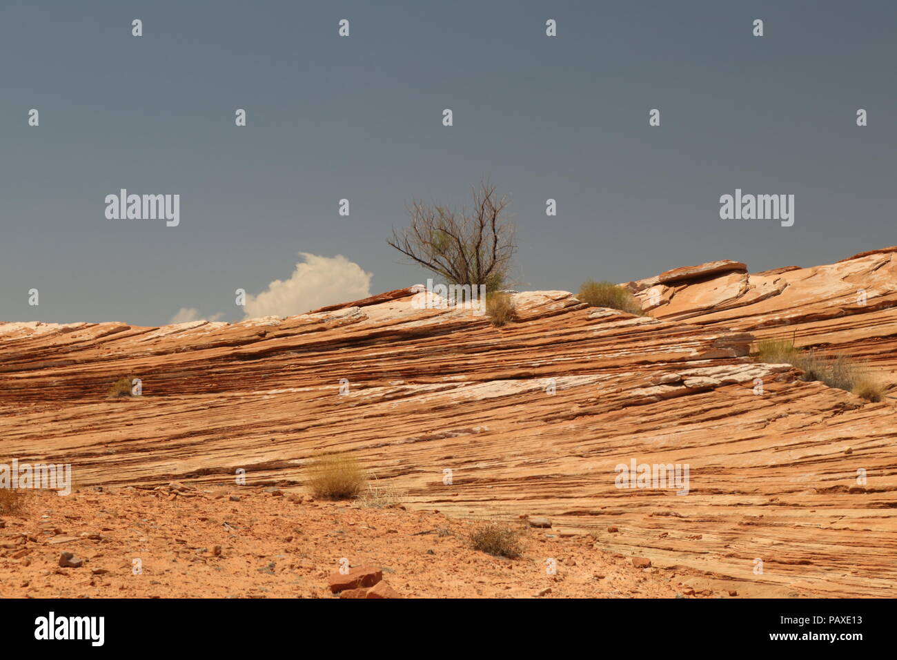 Canyon Rocks Arizona Stock Photo - Alamy