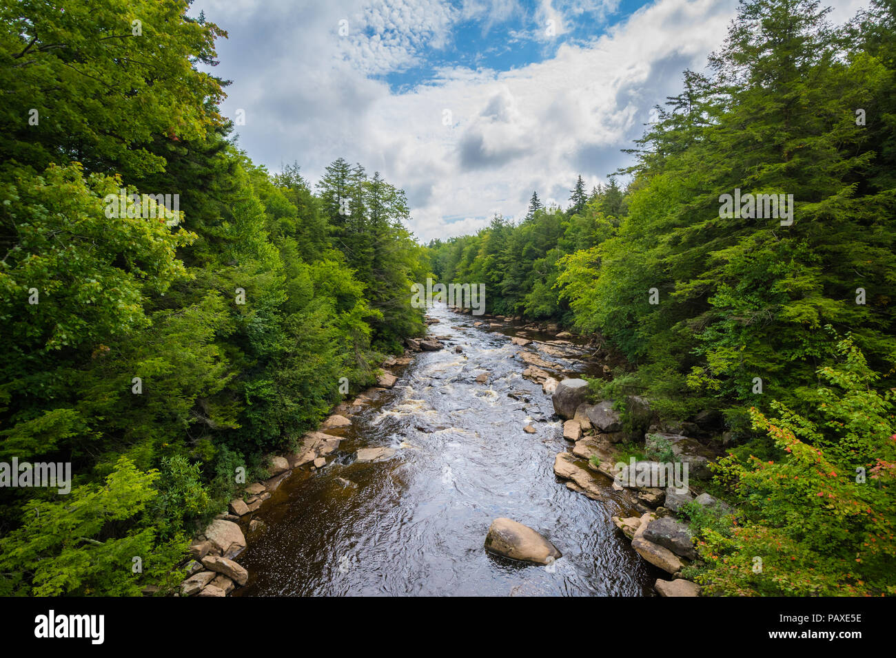 The Blackwater River at Blackwater Falls State Park, West Virginia ...