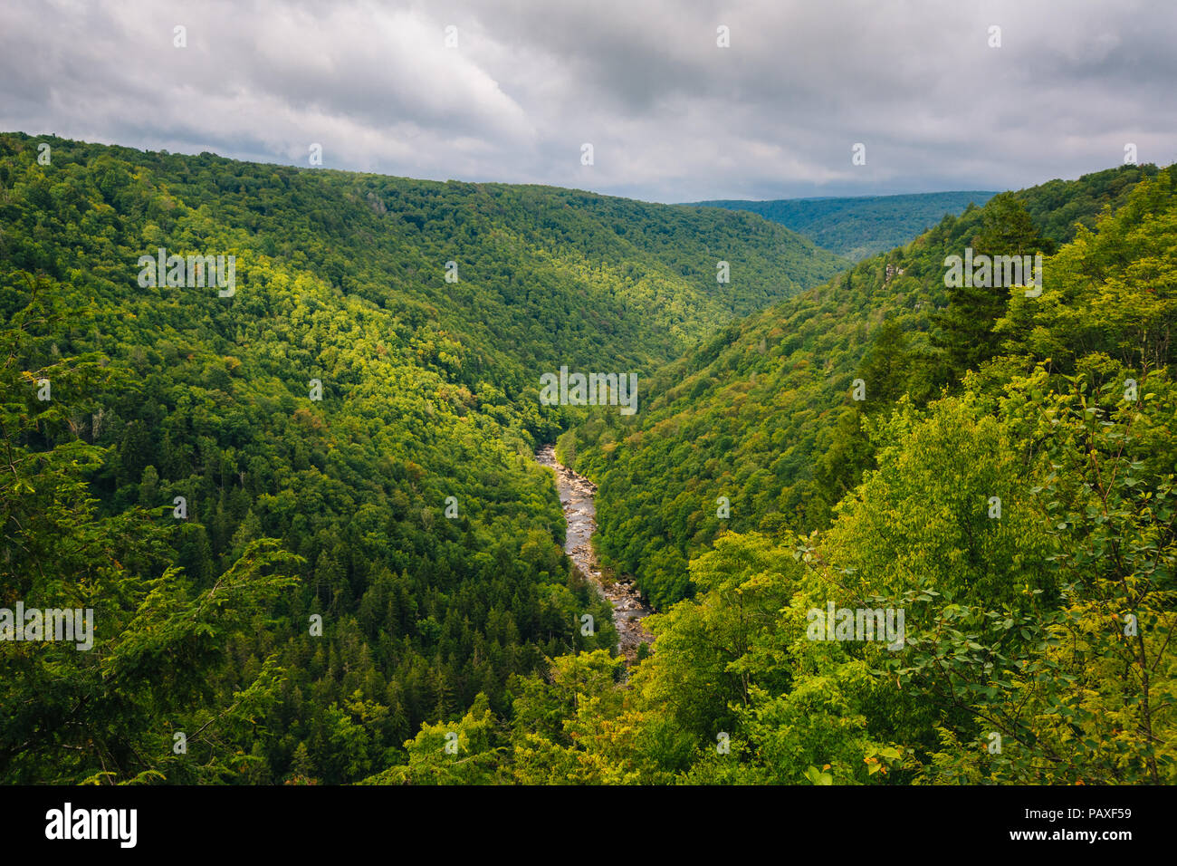 View from Pendleton Point, in Blackwater Falls State Park, West ...