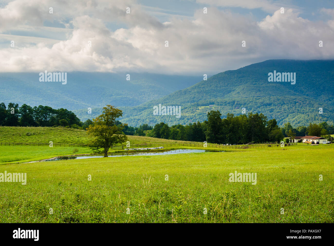 View of a pond and mountains in the rural Potomac Highlands of West ...