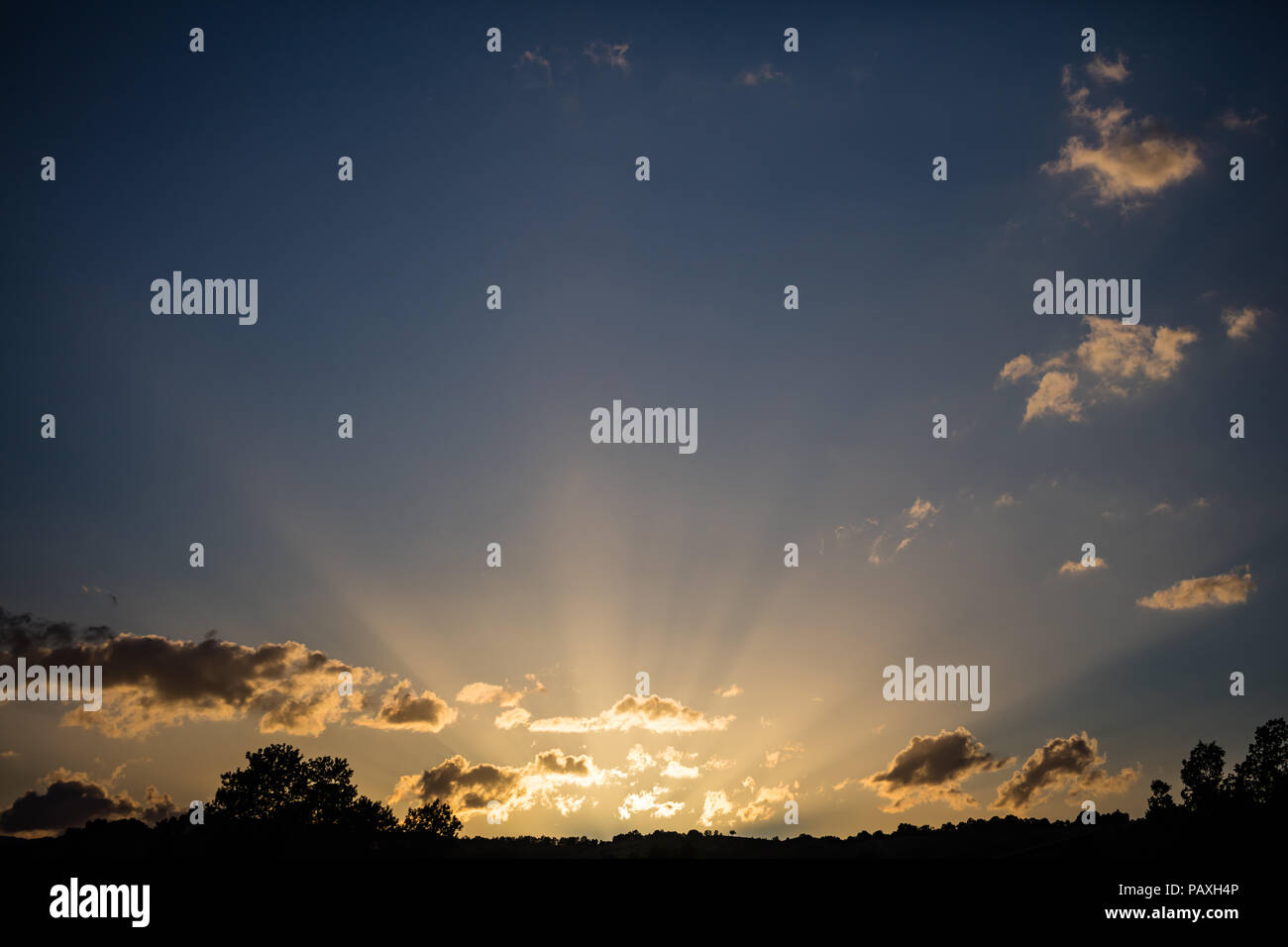Sunrays light concept. Sunrise sunbeams through the clouds from the ... Sunrays light concept. Sunrise sunbeams through the clouds from the ...