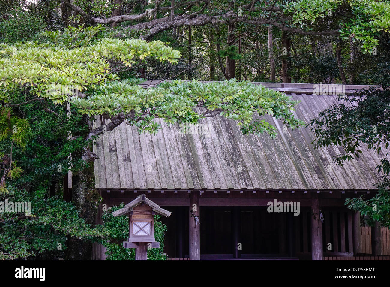 Part of Ise Shrine (Ise Jingu) in Nagoya, Japan. The Shrine is Japan ...