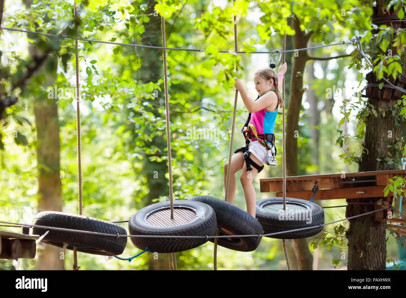 Child in forest adventure park. Kids climb on high rope trail. Agility ...