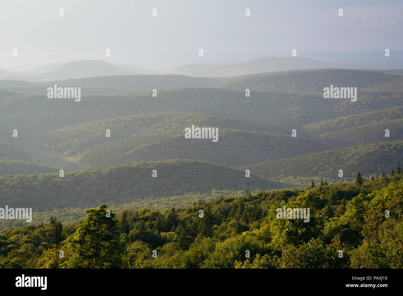 View of mountain ridges from Spruce Knob in Monongahela National Forest ...