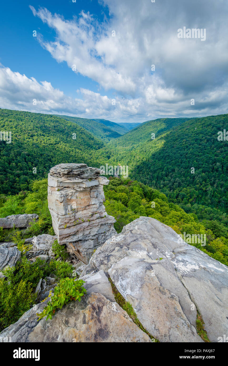 View of the Blackwater Canyon from Lindy Point, at Blackwater Falls ...