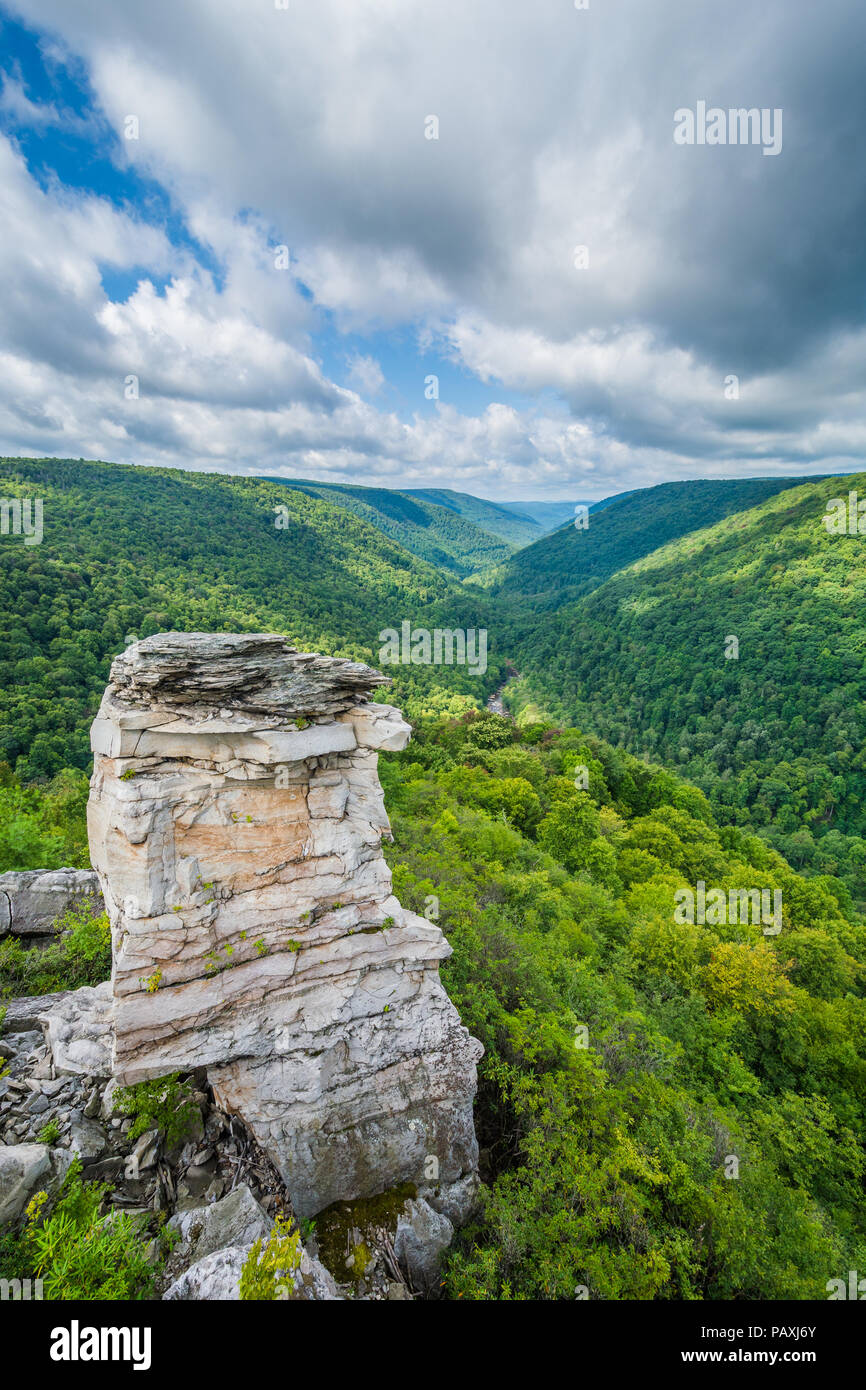 View of the Blackwater Canyon from Lindy Point, at Blackwater Falls ...
