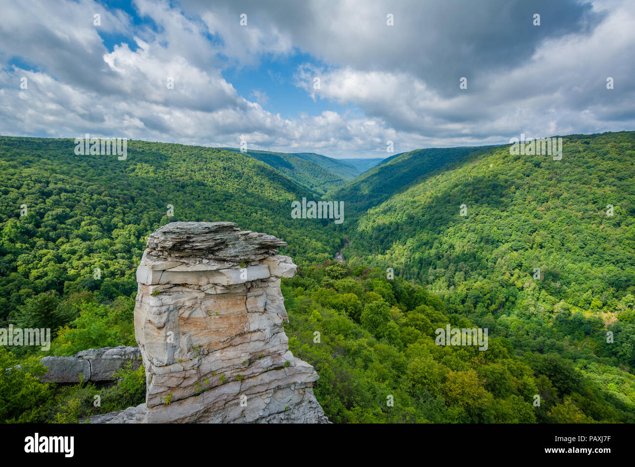 View of the Blackwater Canyon from Lindy Point, at Blackwater Falls ...