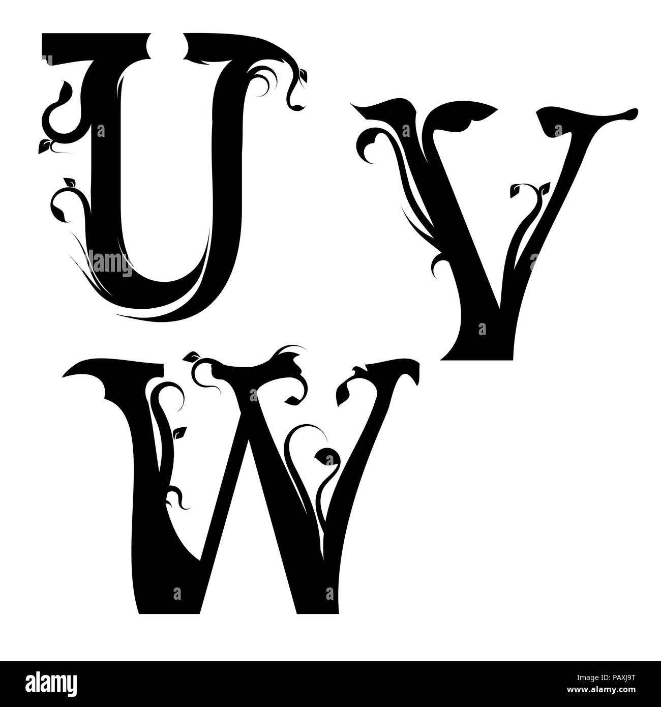Floral letters U, V and W on a white background, vector illustration ...