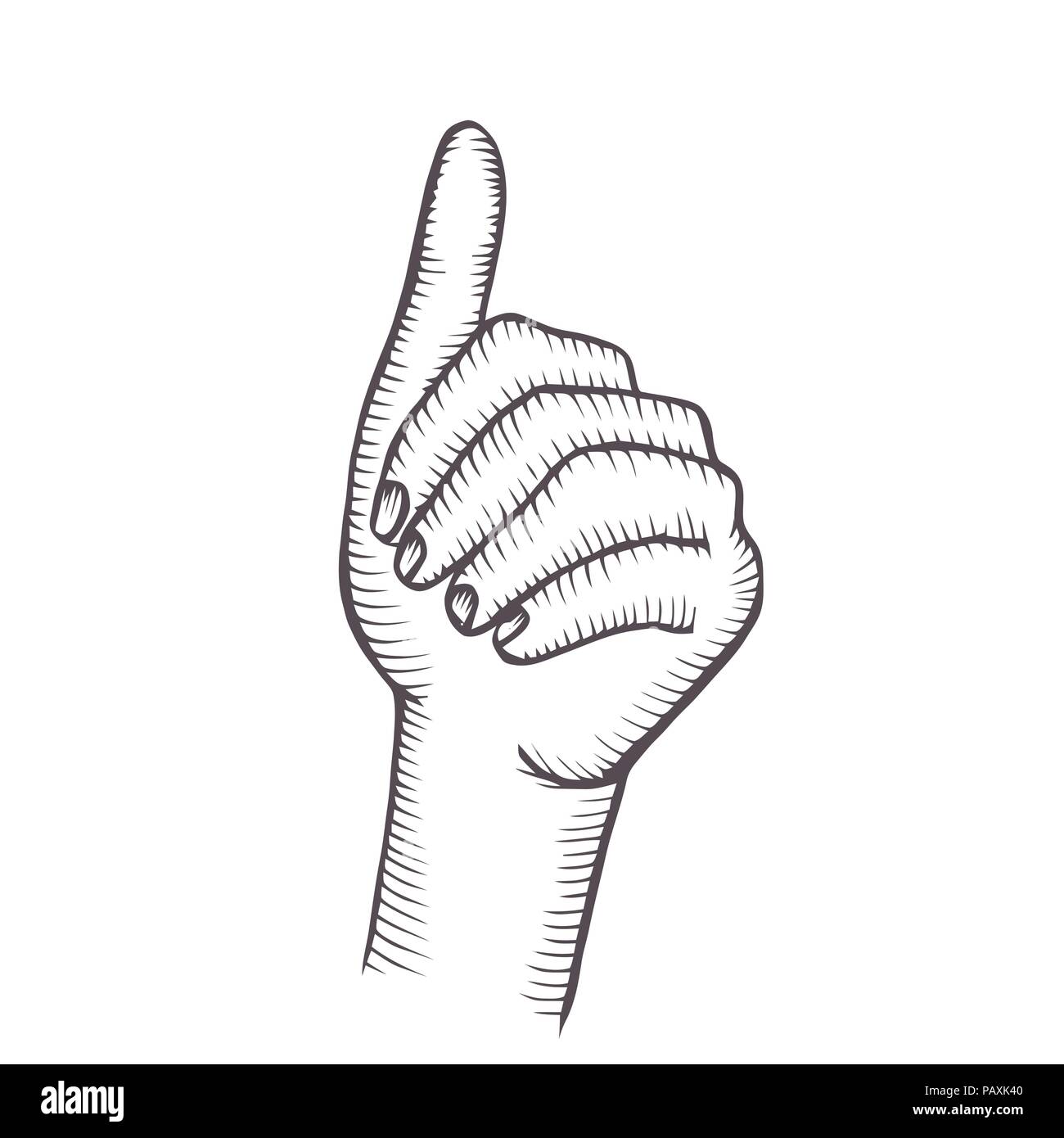 Hand gesture sketch. Thumbs up symbol. Illustration isolated on white ...
