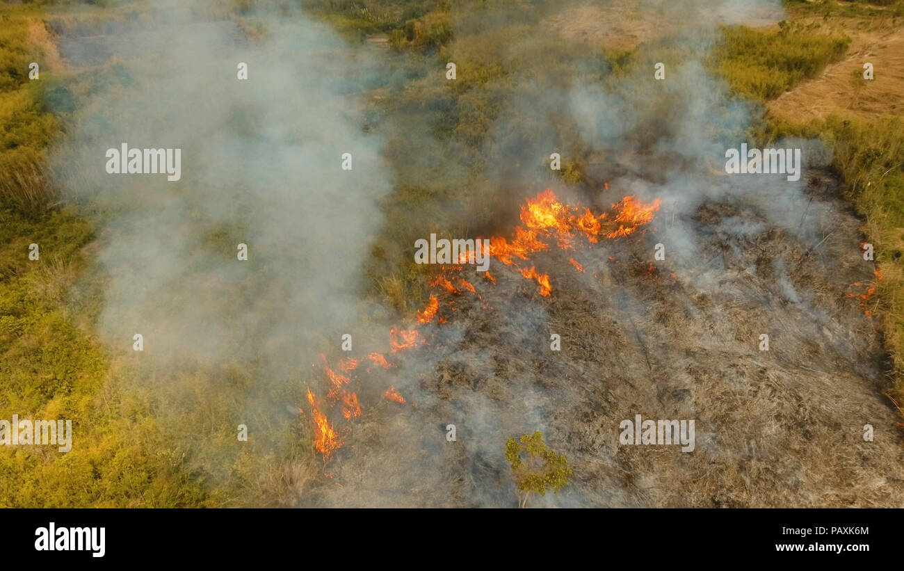 Aerial view forest fire on the slopes of hills and mountains. Forest ...