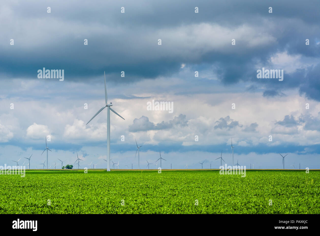 Windmills in rural Indiana Stock Photo - Alamy