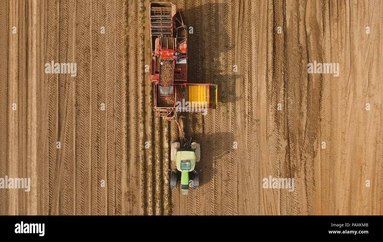 Harvesting Potato High Resolution Stock Photography and Images - Alamy