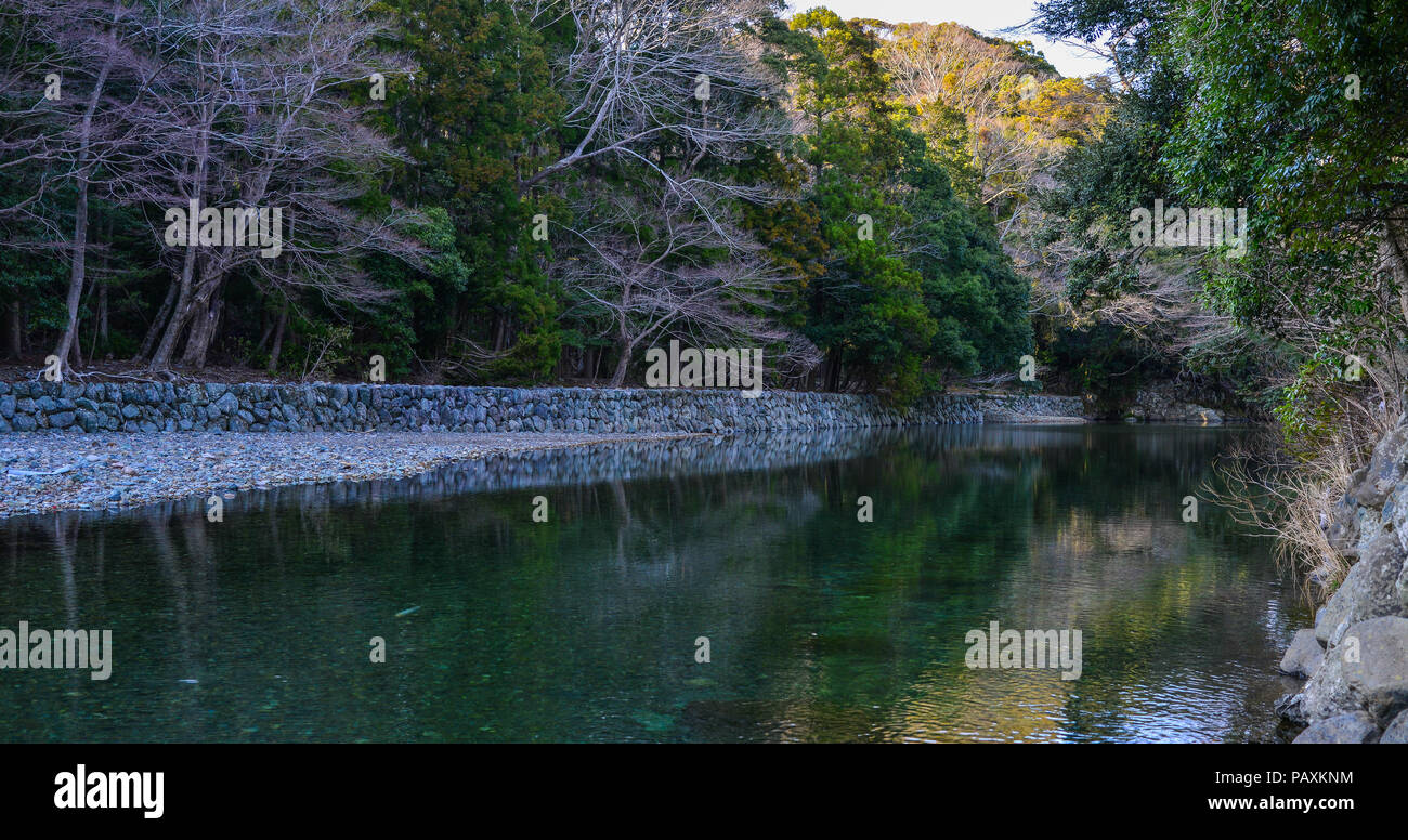 Nagoya forest hi-res stock photography and images - Alamy