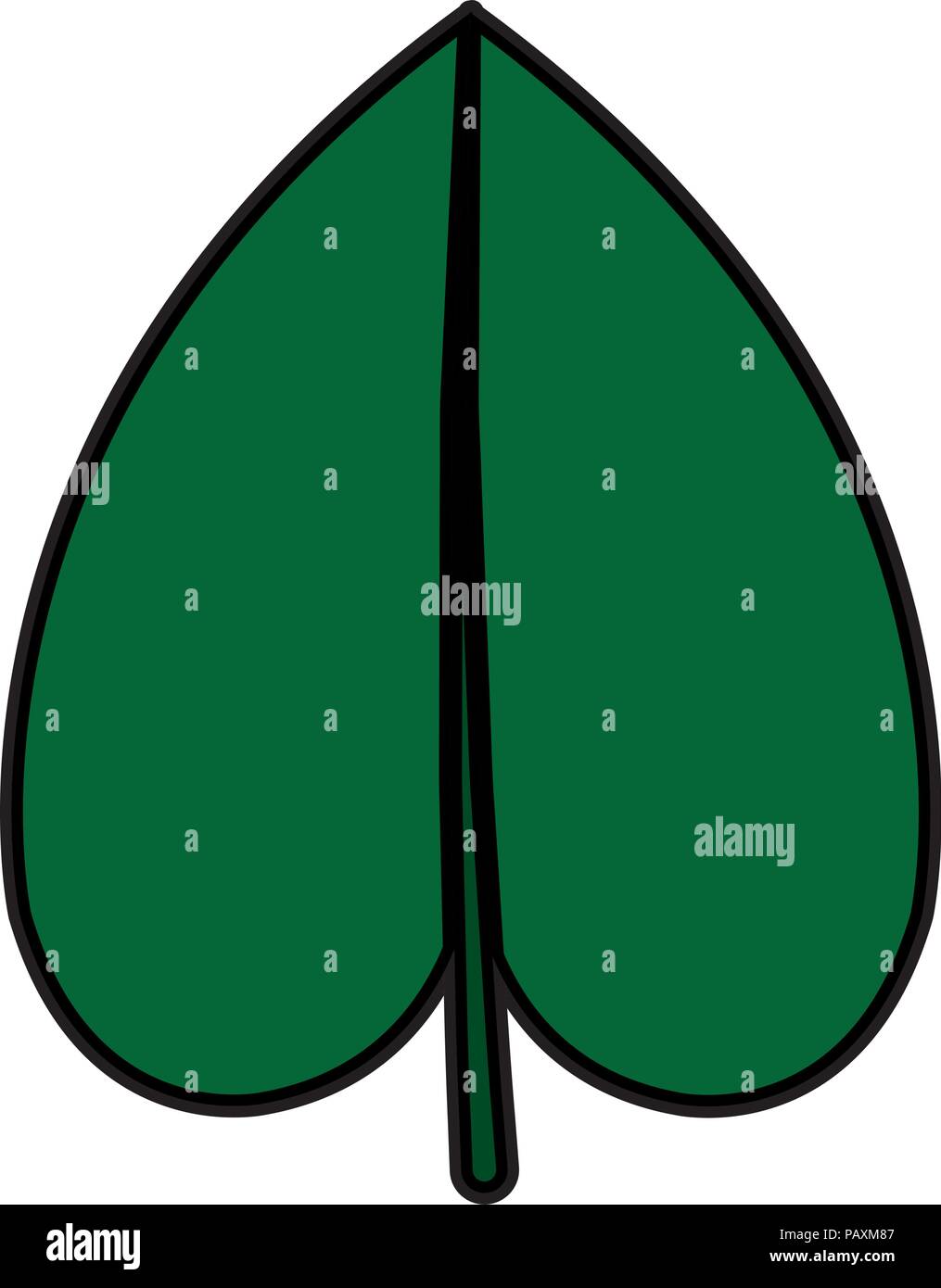 color tropical leaf style botany design Stock Vector Image & Art - Alamy