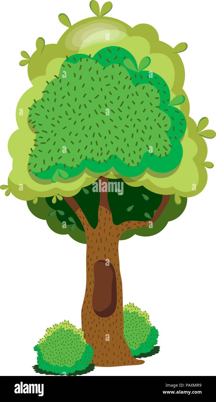 beauty tree stalk with leaves and bushes Stock Vector Image & Art - Alamy