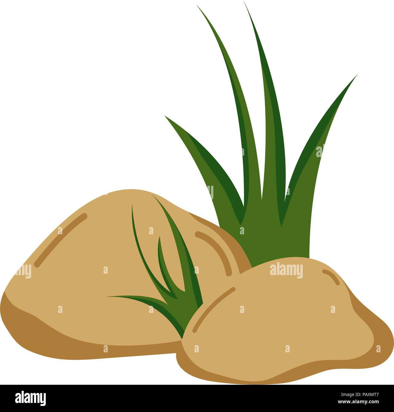 natural rocks texture and grass plant Stock Vector Image & Art - Alamy