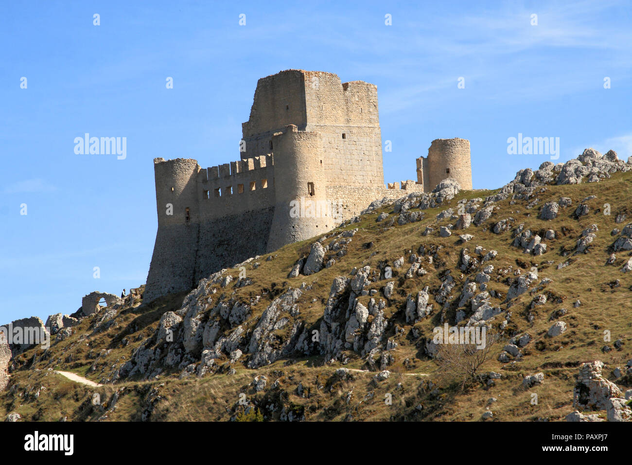 Lady with the hawk hi-res stock photography and images - Alamy