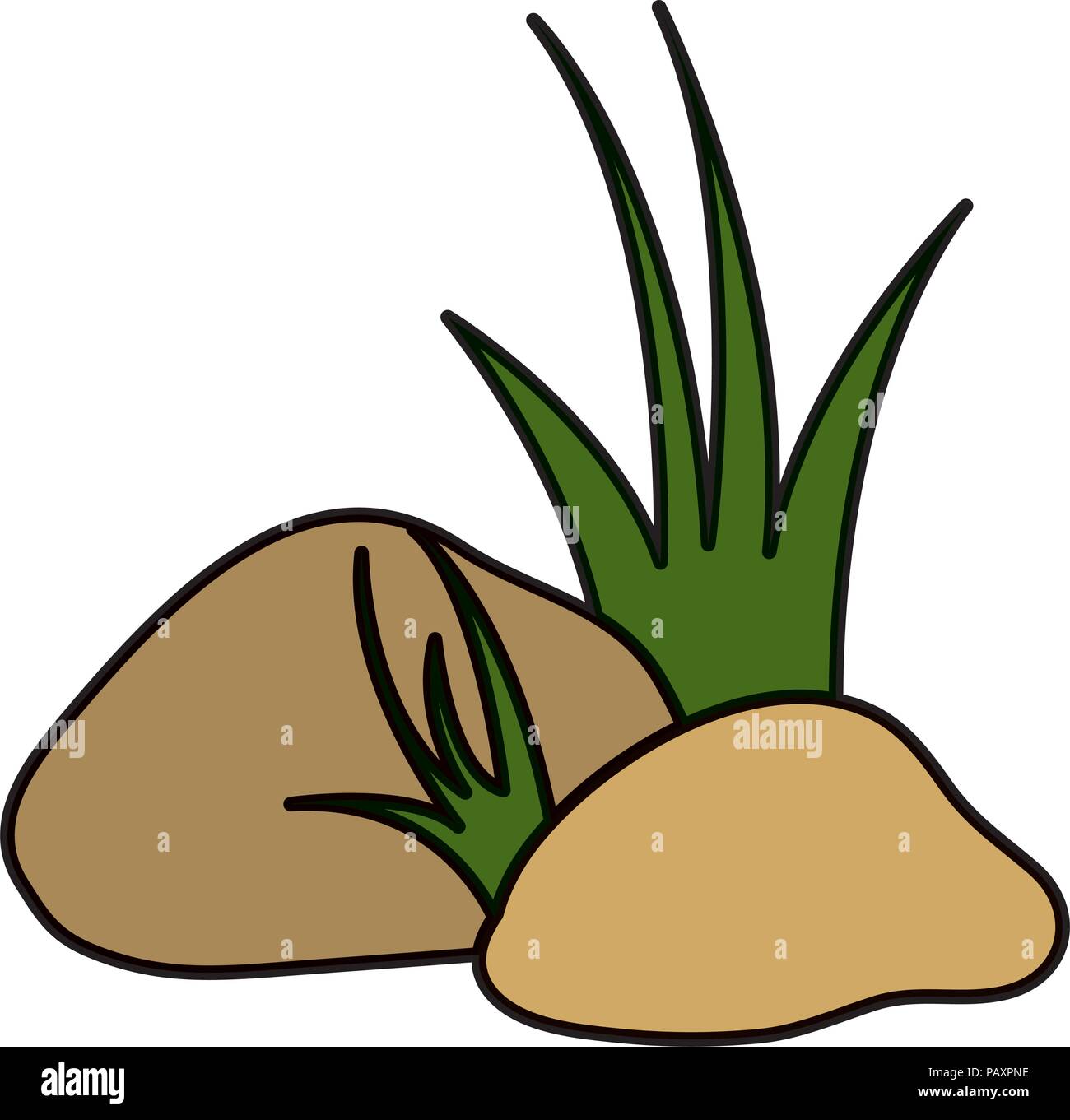 Rocks texture Stock Vector Images - Alamy