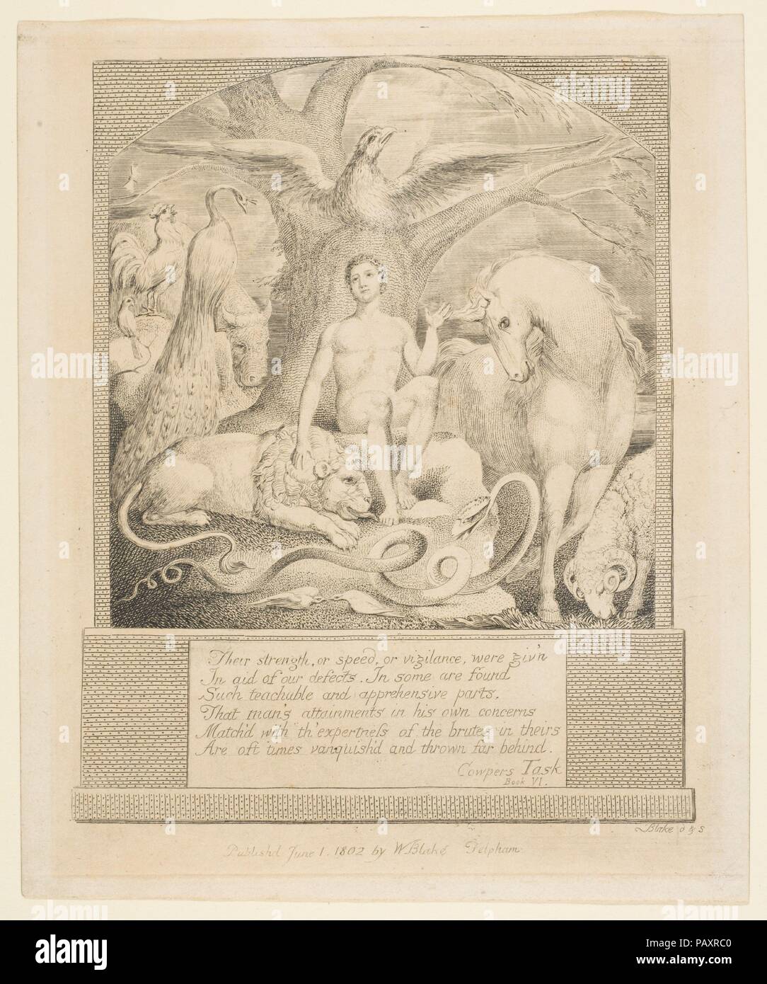 Adam and the Beasts, from Hayley's Ballads. Artist and publisher ...