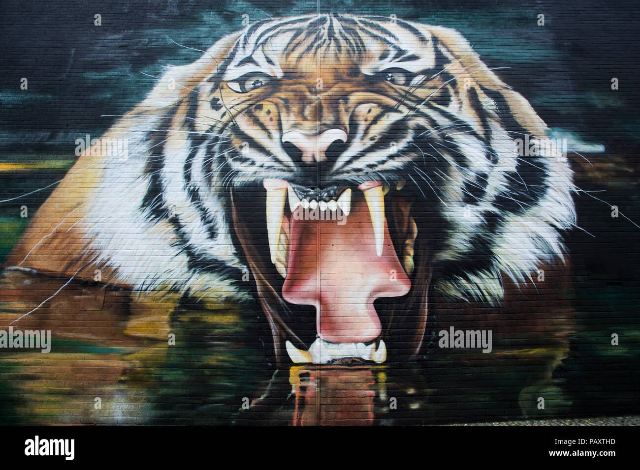 Tiger depicted in graffiti art in a wall in Shoreditch, London Stock ...