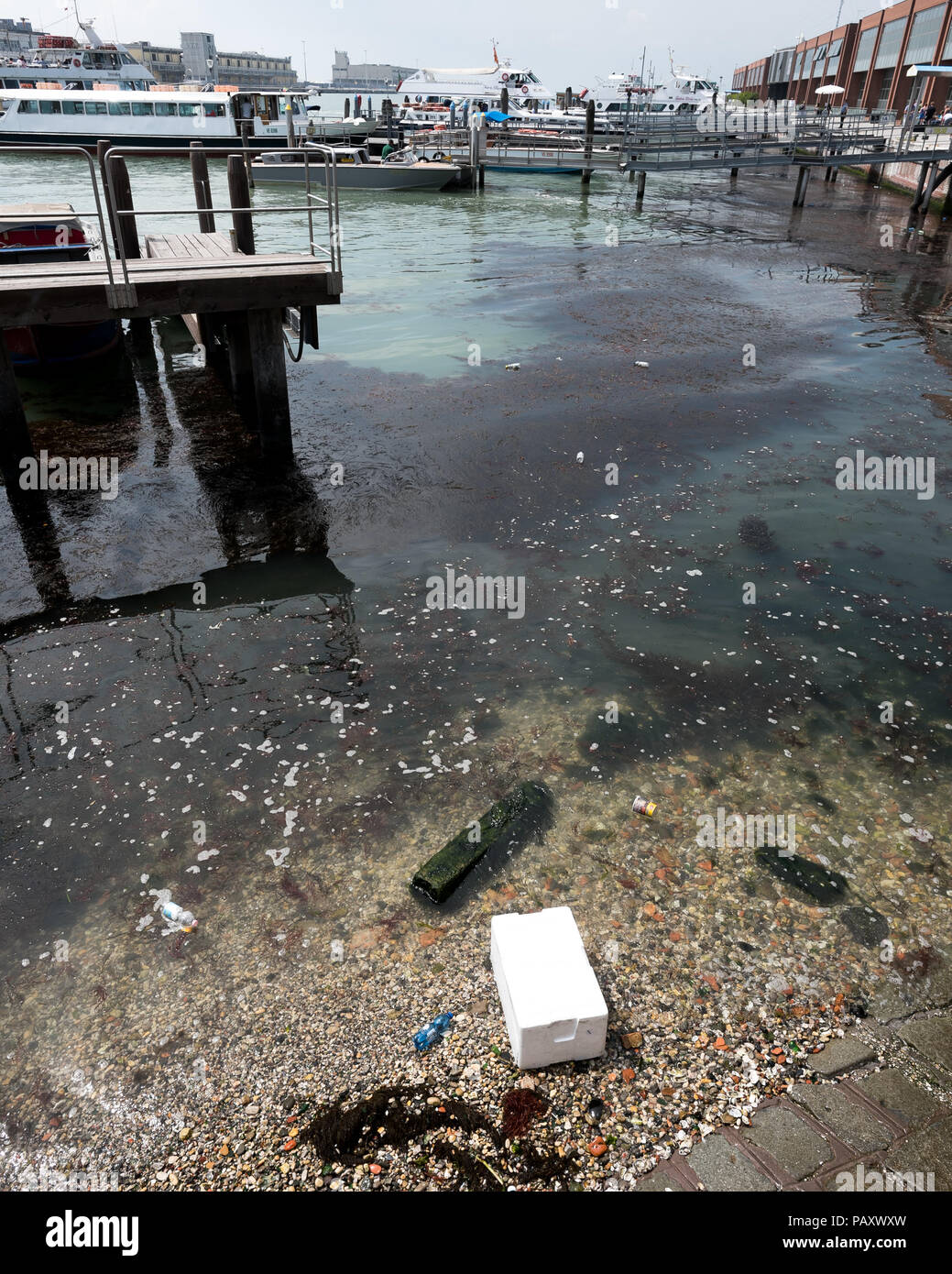 Plastic waste venice hi-res stock photography and images - Alamy