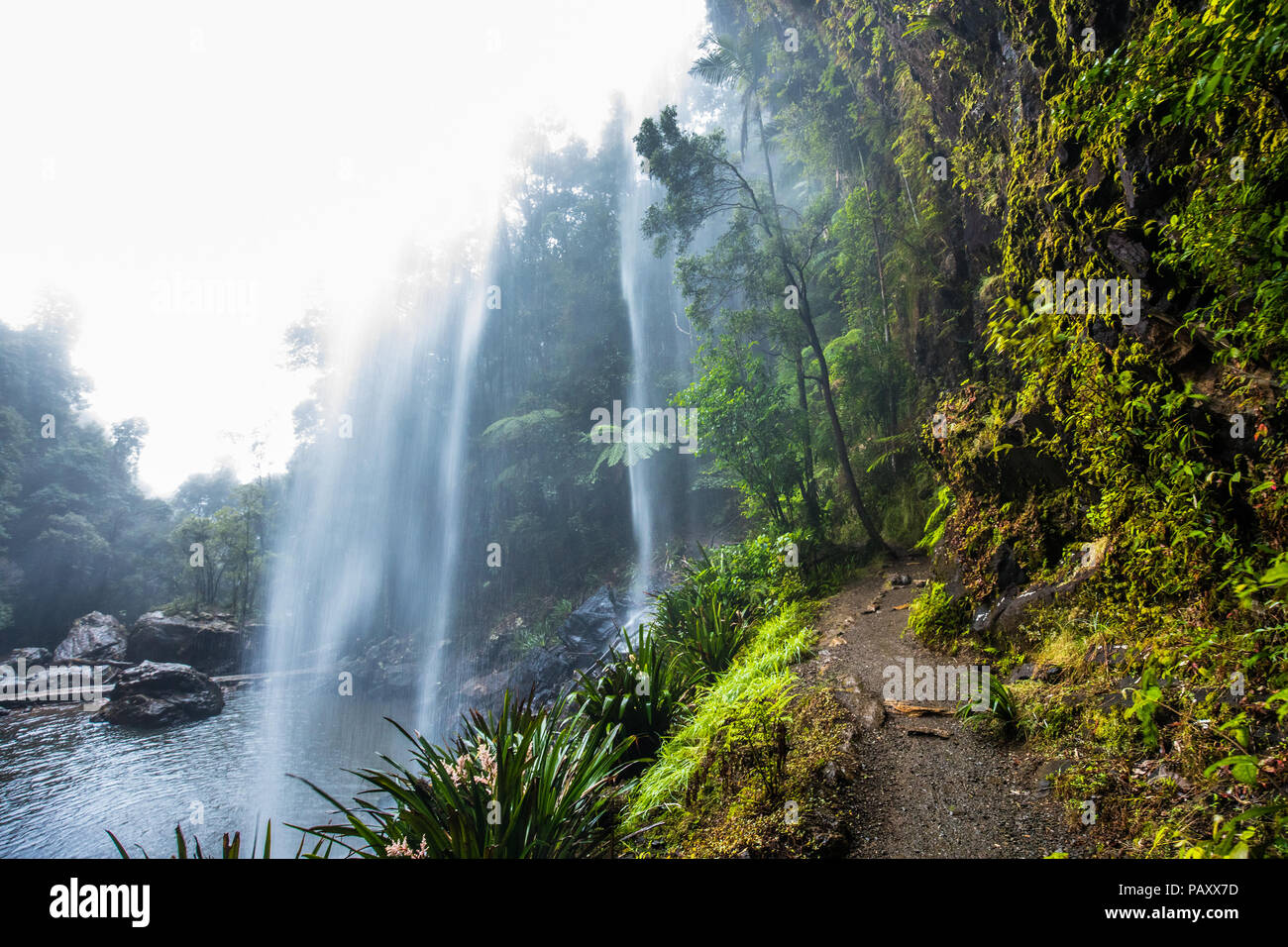 Under the Twin Falls in the Springbrook National Park, Queensland ...