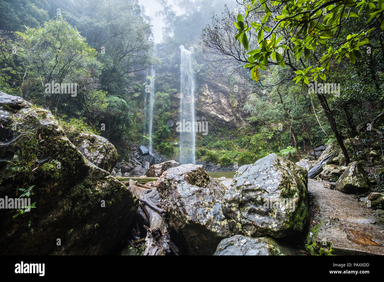 Twin Falls hike in the Springbrook National Park, Queensland, Australia ...
